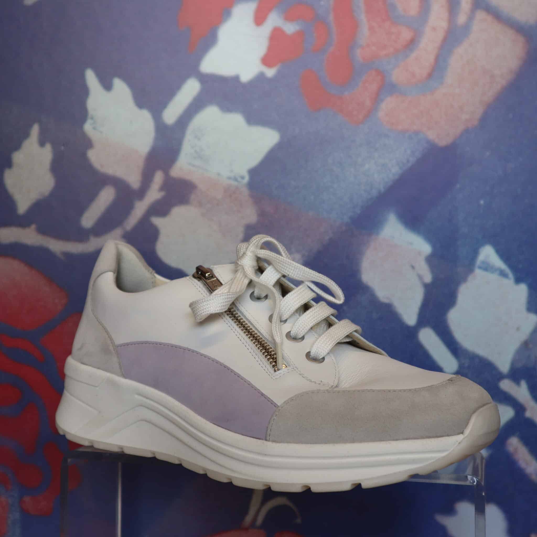 Solidus - MESCO SCHOENEN